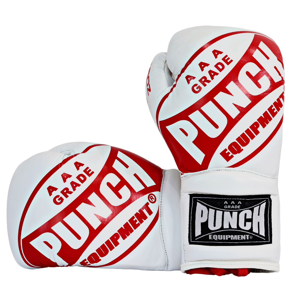 PUNCH 10 oz Boxing Gloves [Trophy Getters] LACE UP